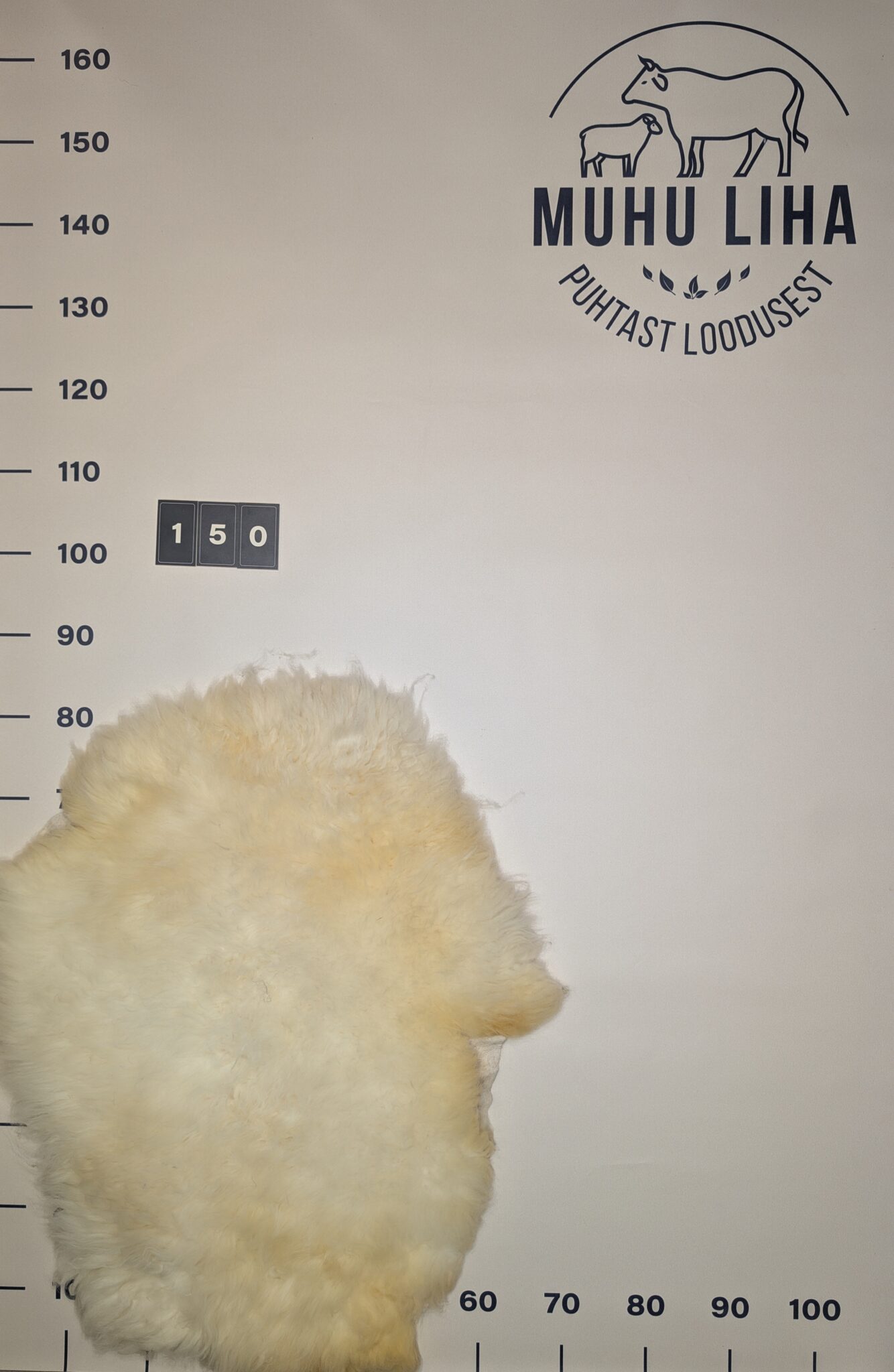 Lambanahk 150 - Muhu Liha