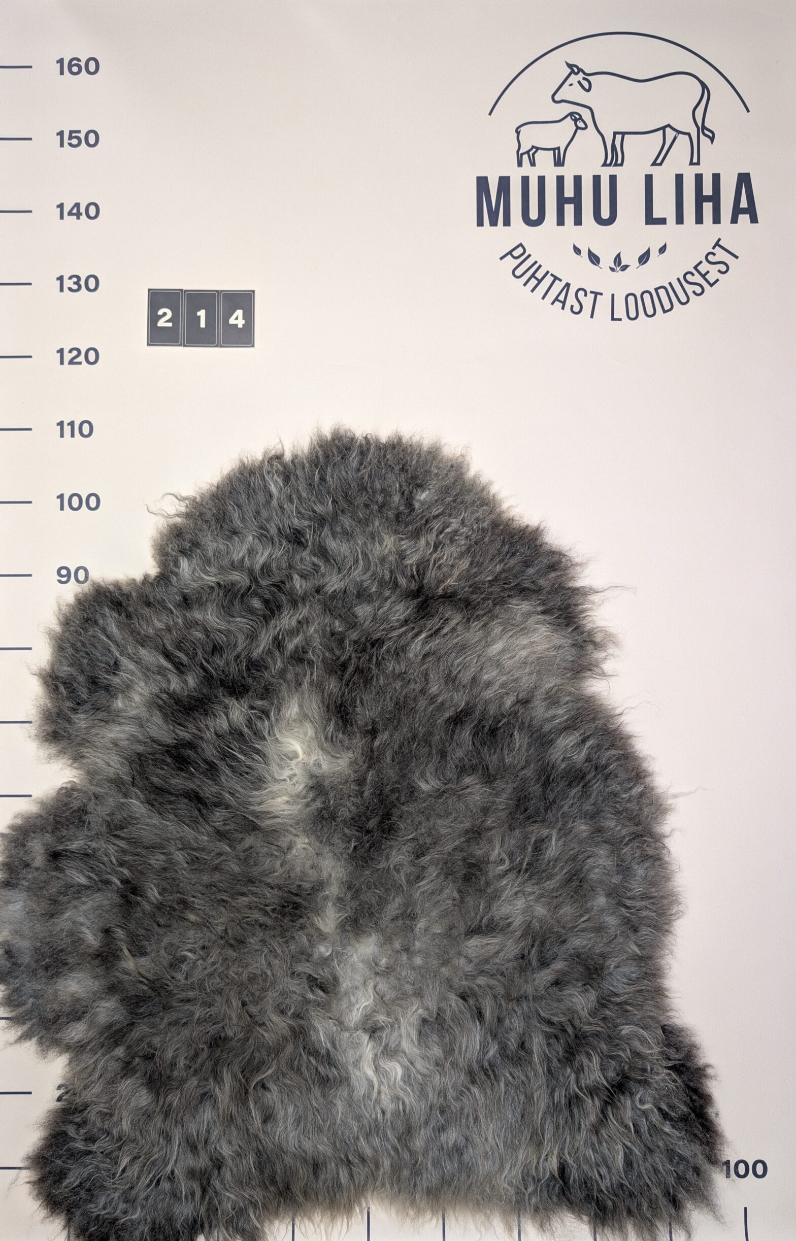 Lambanahk 214 Gotlandi - Muhu Liha