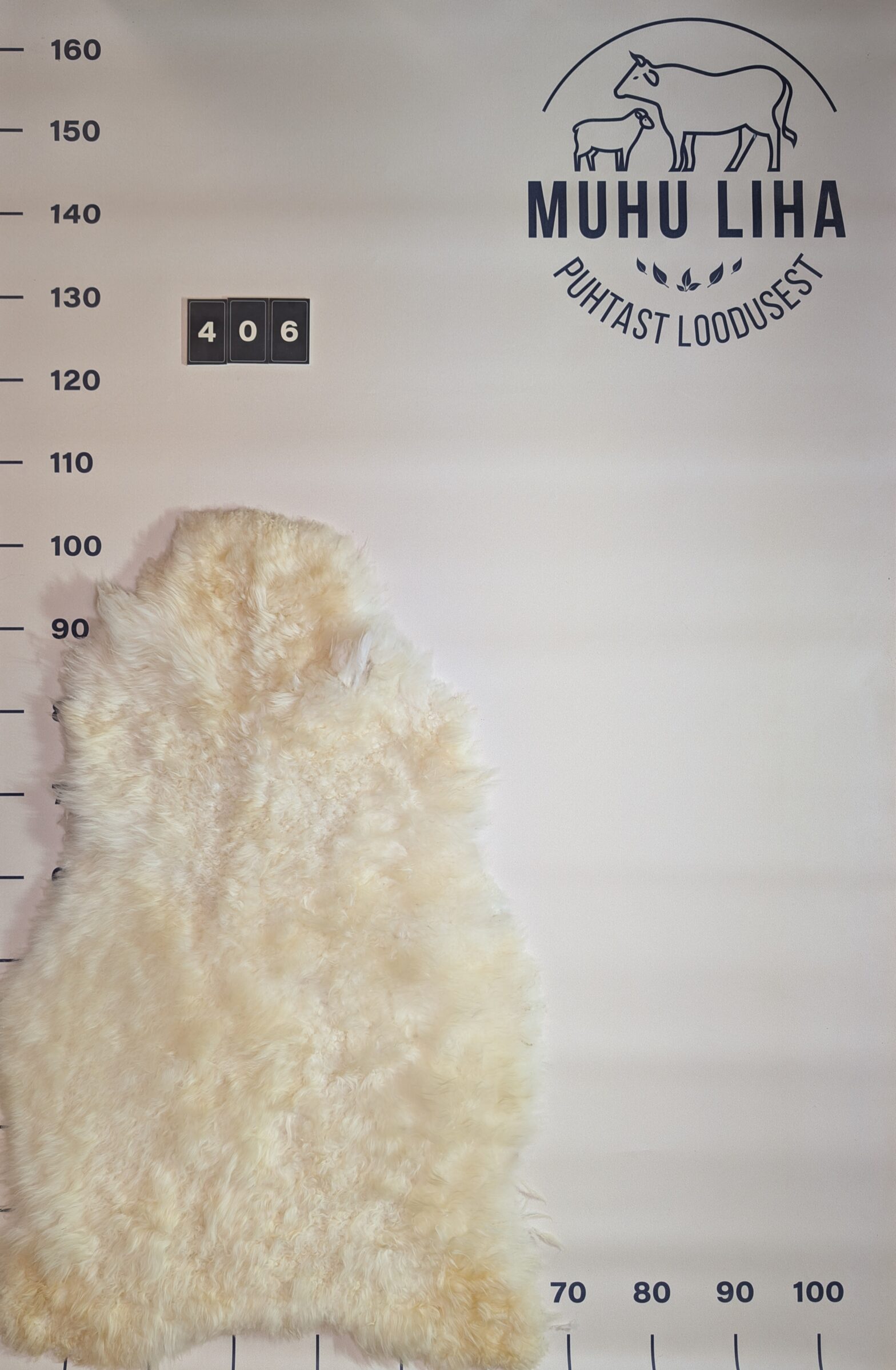 Lambanahk 406 - Muhu Liha