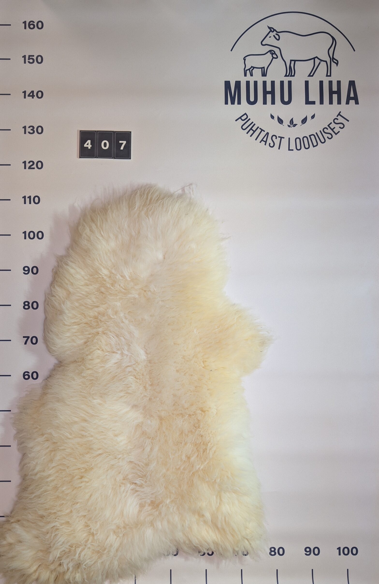 Lambanahk 407 - Muhu Liha