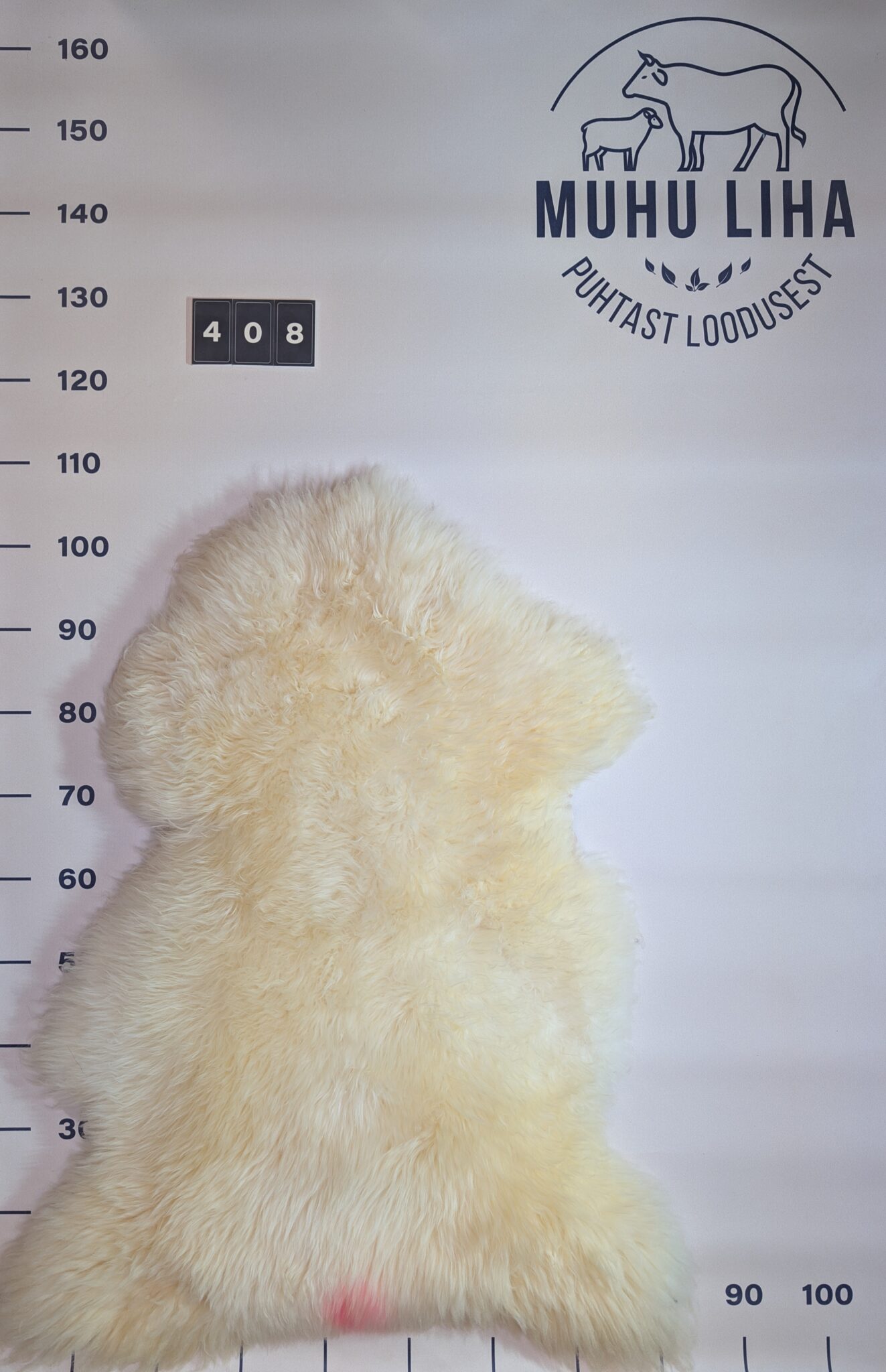 Lambanahk 408 - Muhu Liha