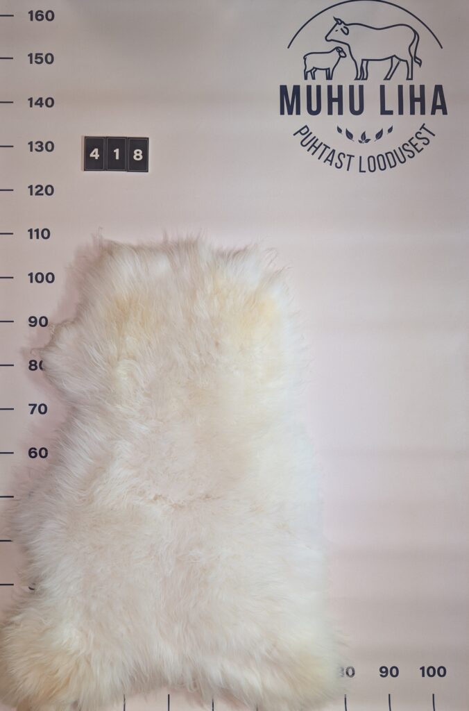 Lambanahk 418 - Muhu Liha