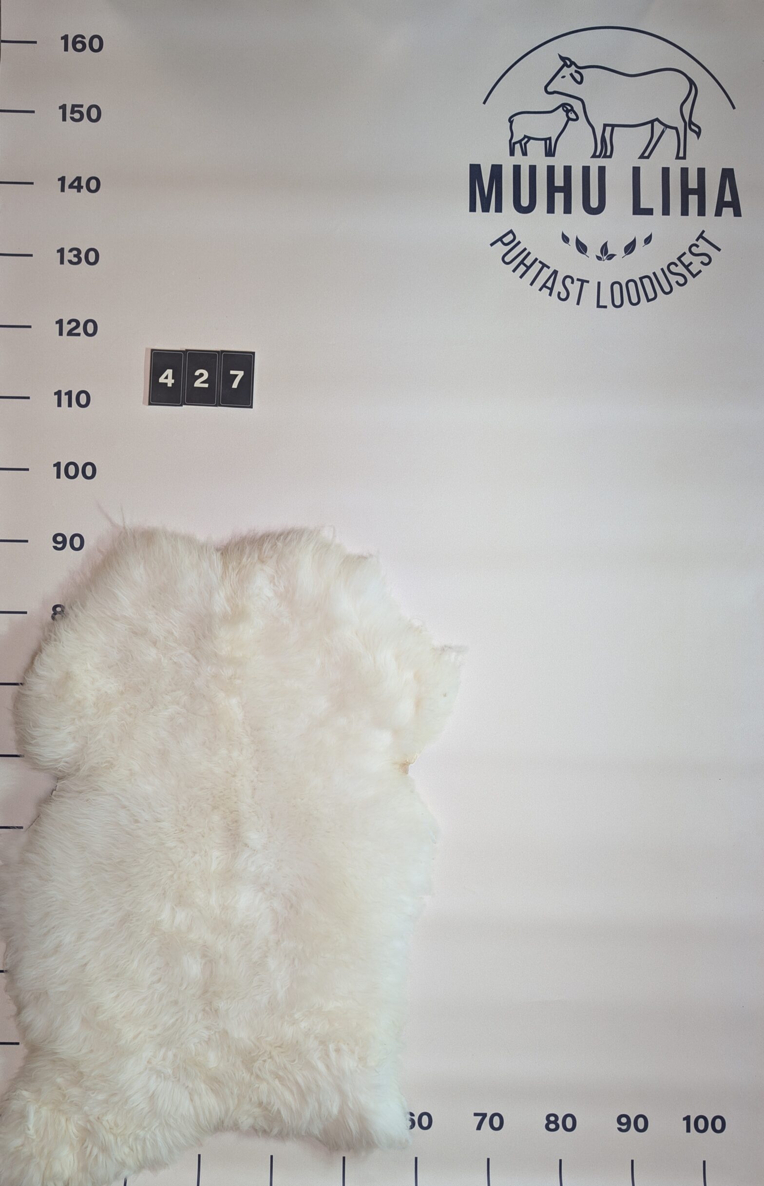 Lambanahk 427 - Muhu Liha