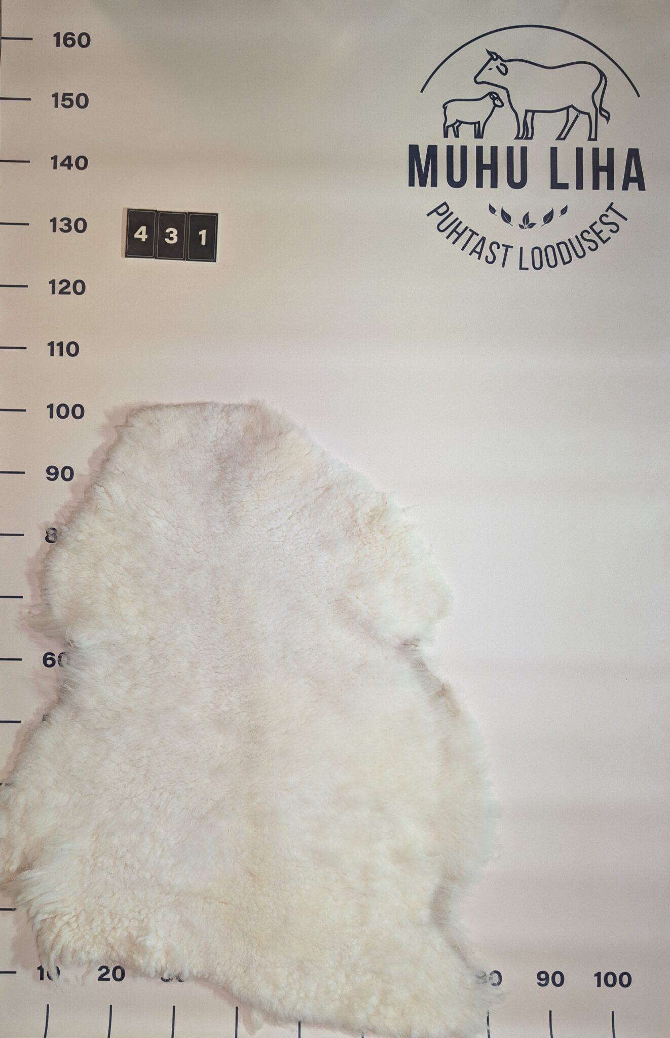 Lambanahk 431 - Muhu Liha