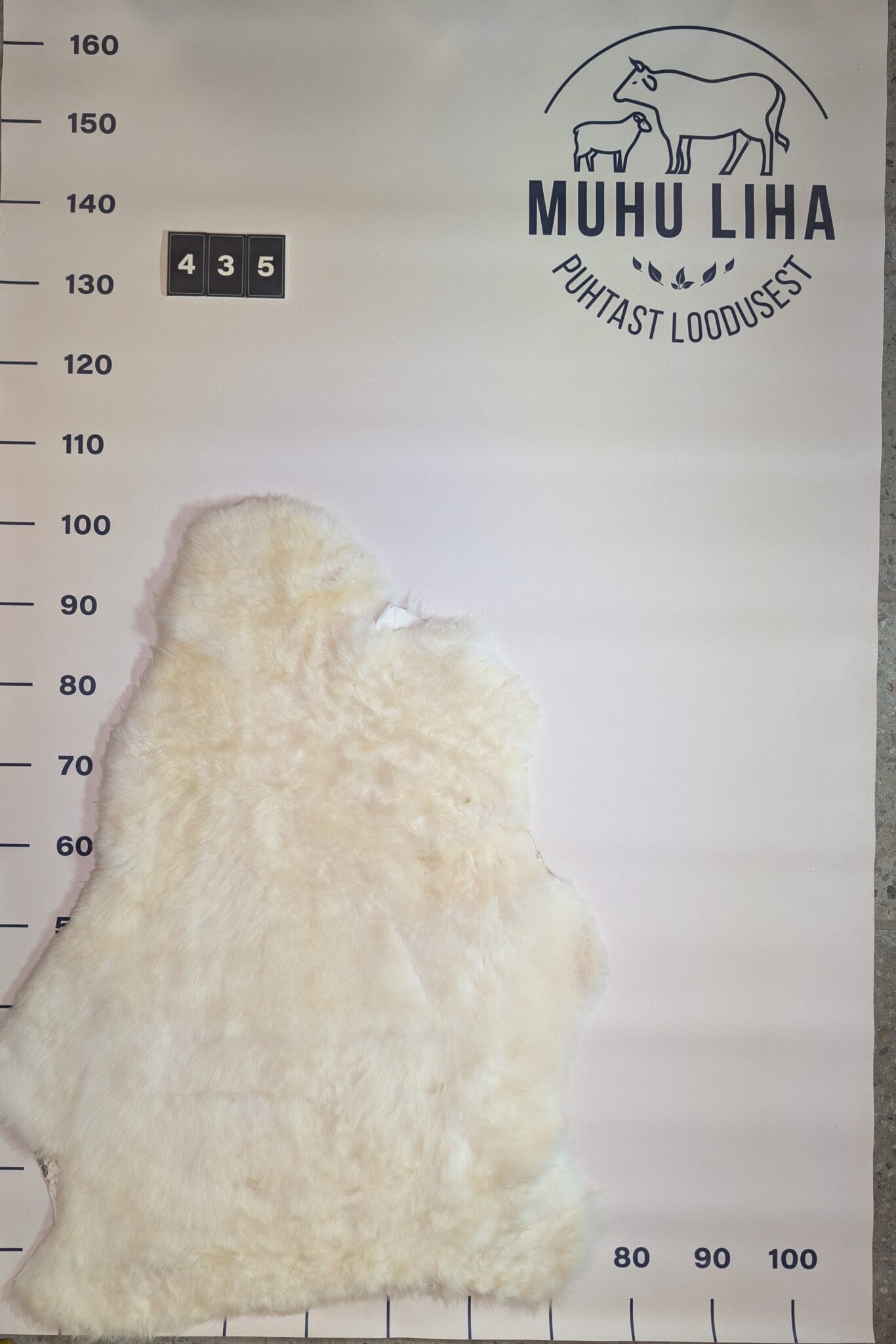 Lambanahk 435 - Muhu Liha