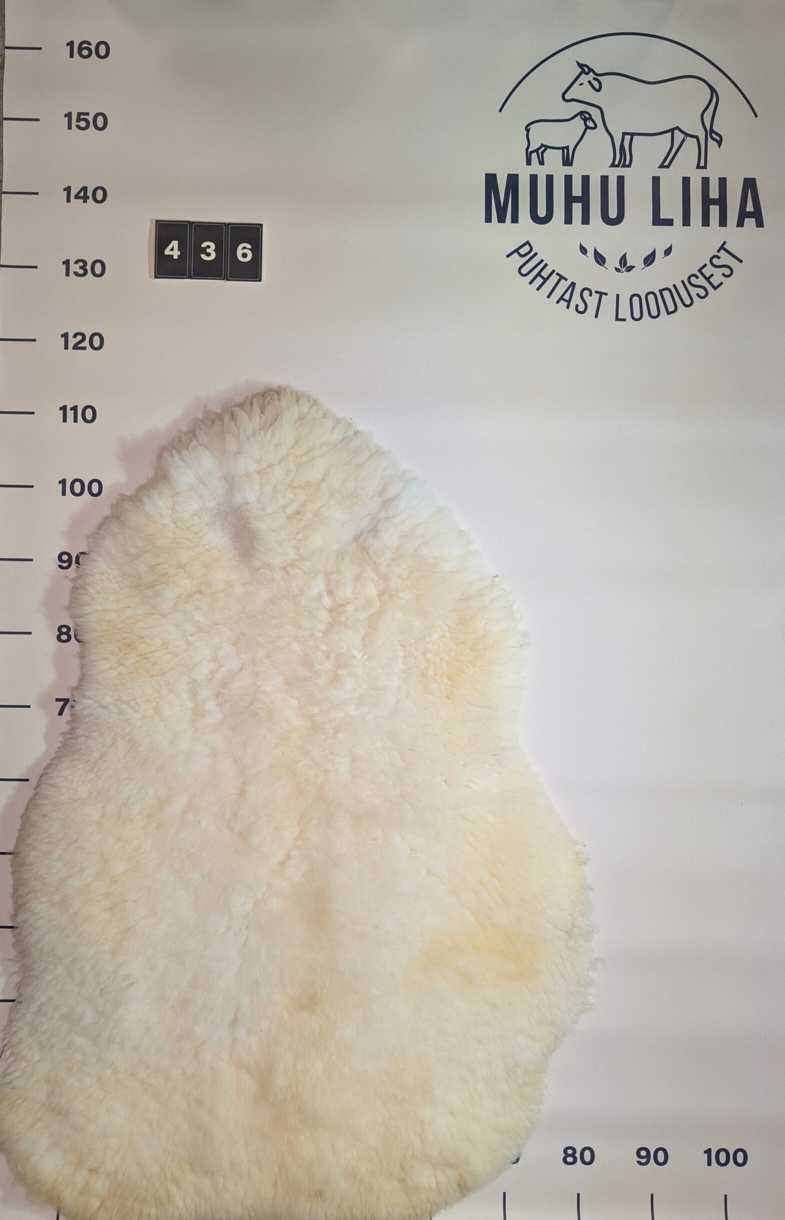 Lambanahk 436 - Muhu Liha