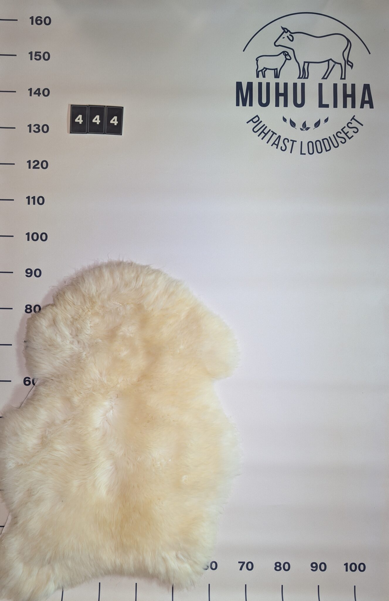 Lambanahk 444 - Muhu Liha