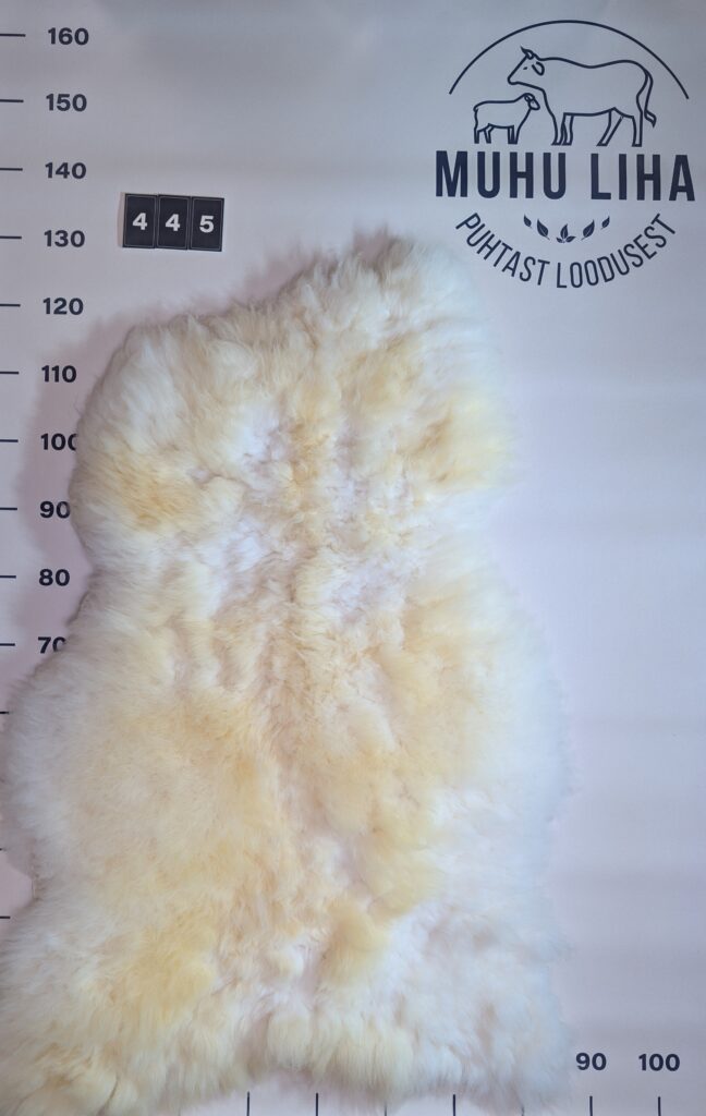 Lambanahk 445 - Muhu Liha