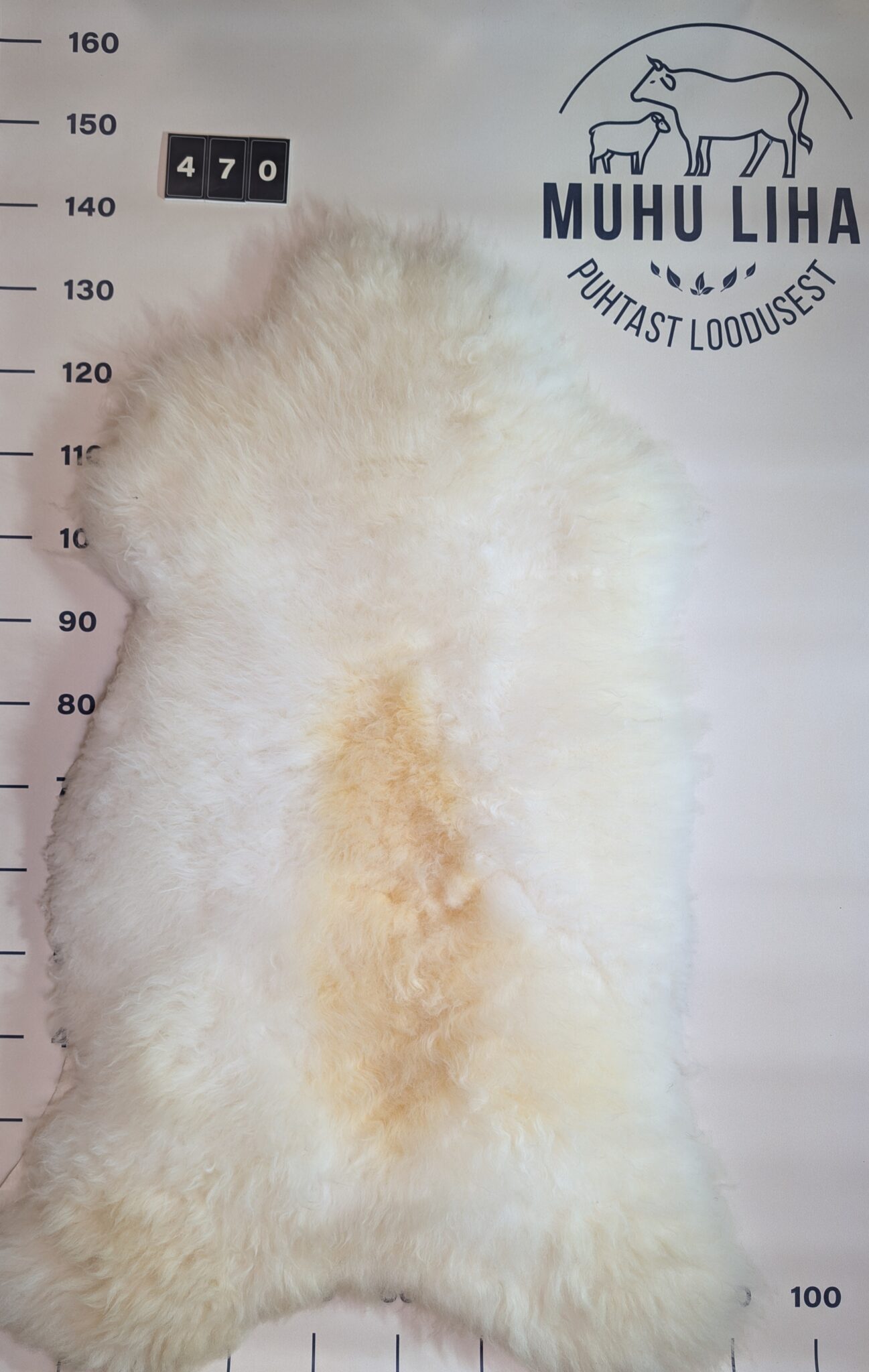 Lambanahk 470 - Muhu Liha