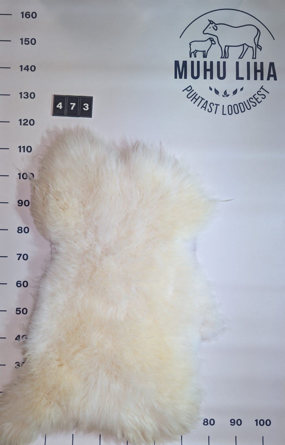 Lambanahk 473 - Muhu Liha