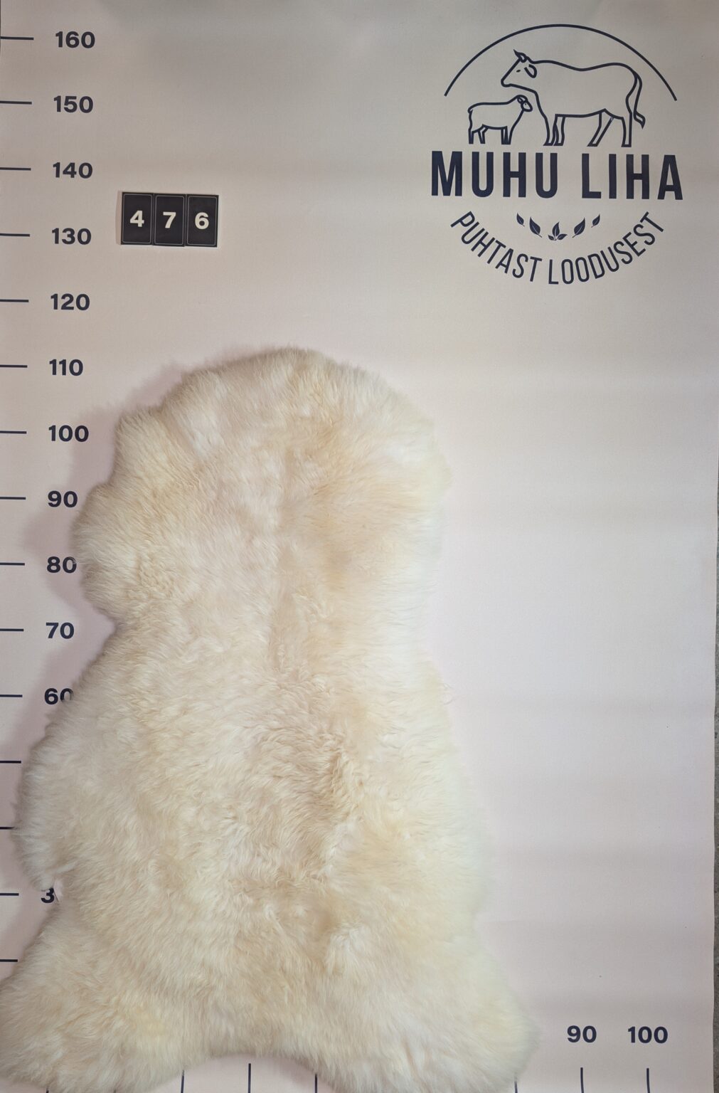 Lambanahk 476 - Muhu Liha