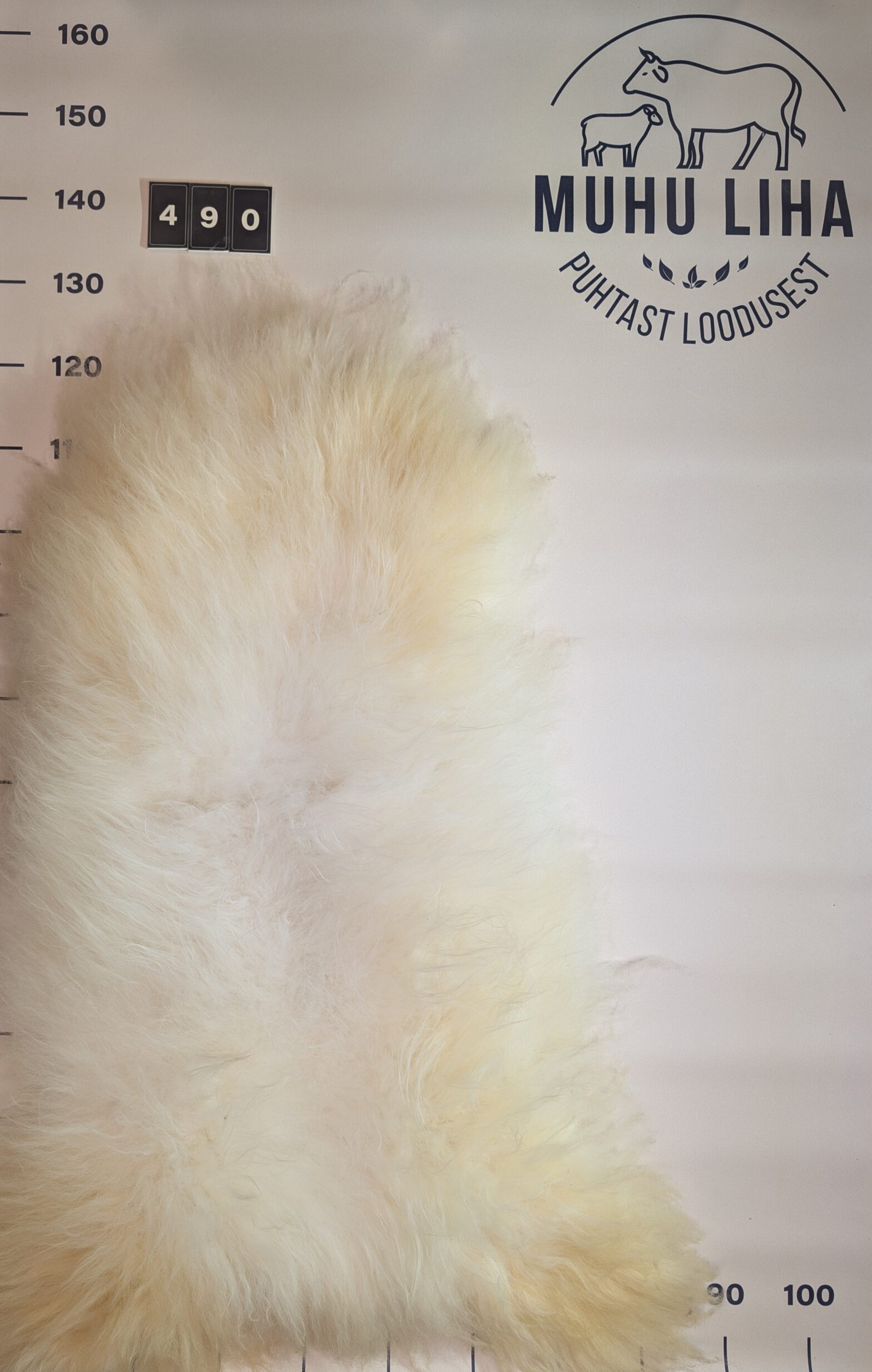 Lambanahk 490 - Muhu Liha